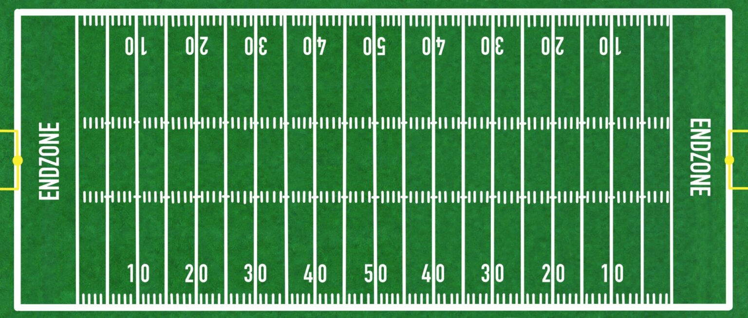 Andrea Müller – Professorin, die DEC ins Leben gerufen hat – Honey